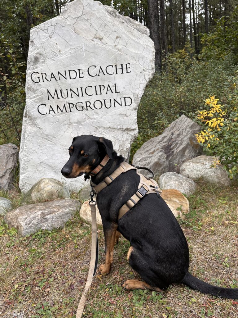 Grand Cache Municipal Campground – Cocktails & Campfires